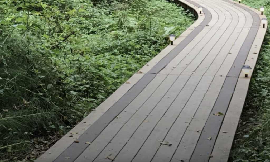 An Invitation to Brave Space • Tenneson Woolf