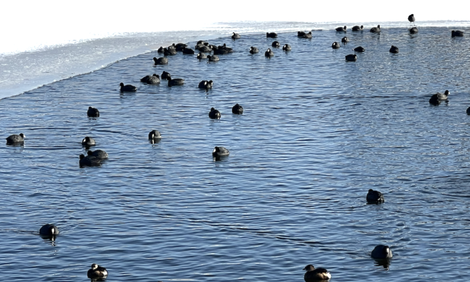 An Invitation to Brave Space • Tenneson Woolf